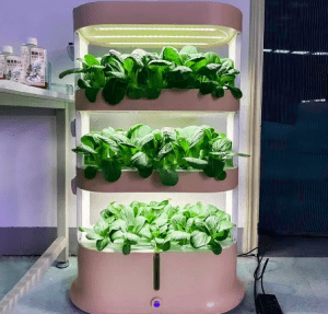 What is a WOW Factor Product? (With 10 Examples)